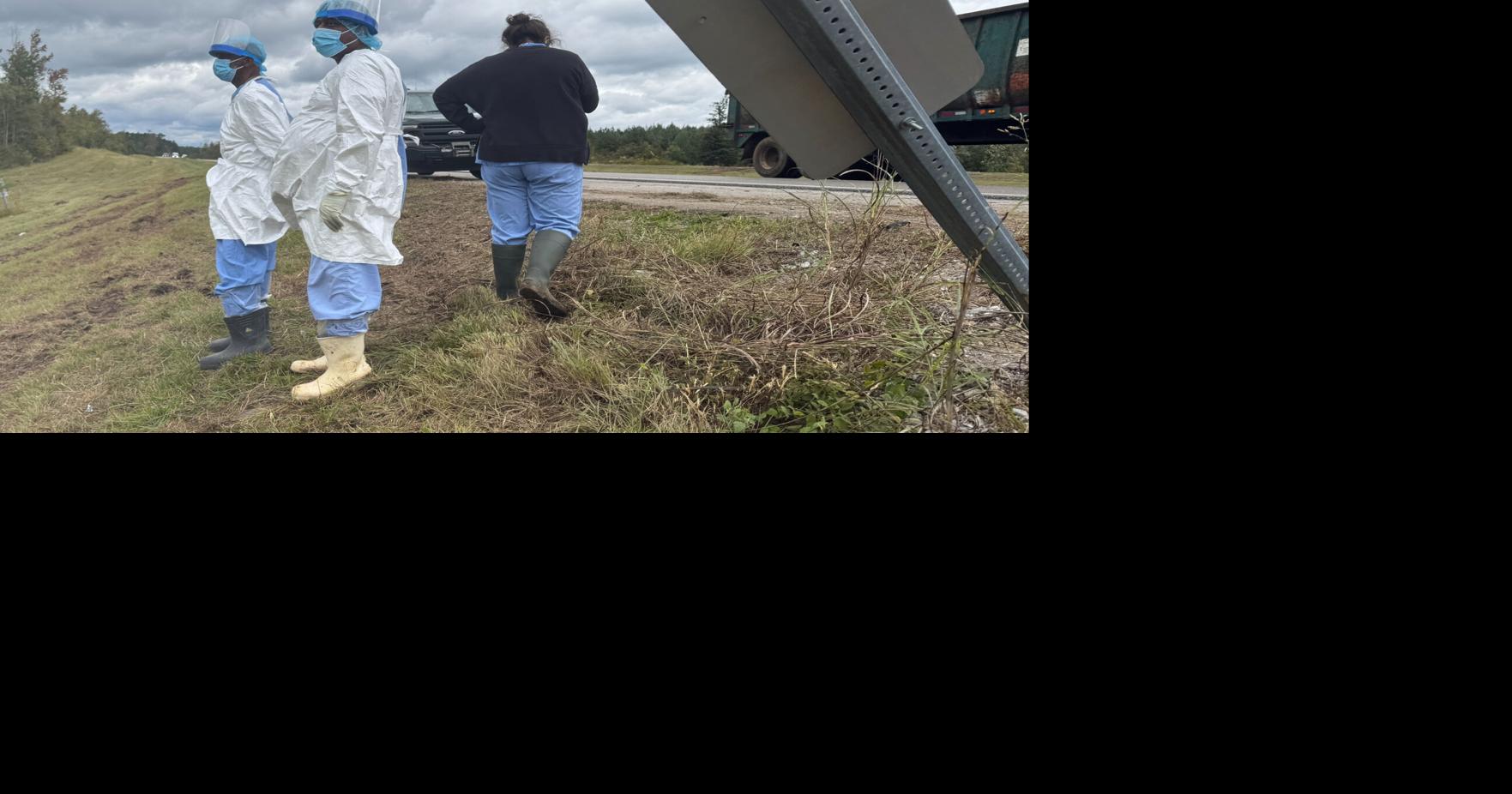 3 monkeys still on the loose after truck overturns on Mississippi ...
