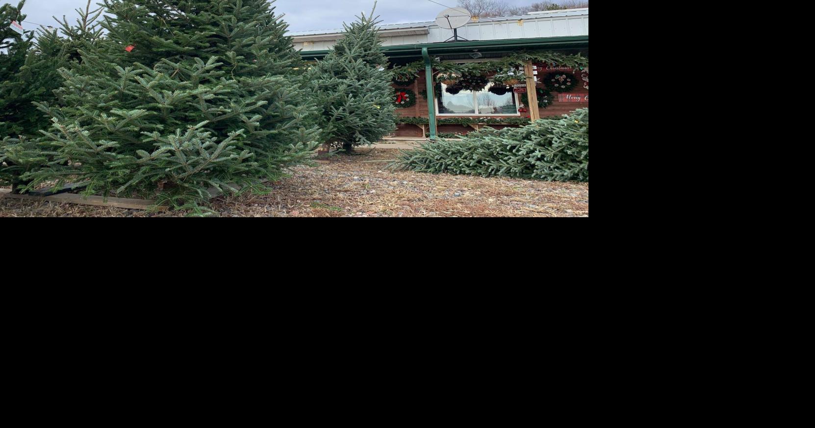 Pleasant Valley Tree Farm makes COVID-19 changes | Coronavirus | wqow.com