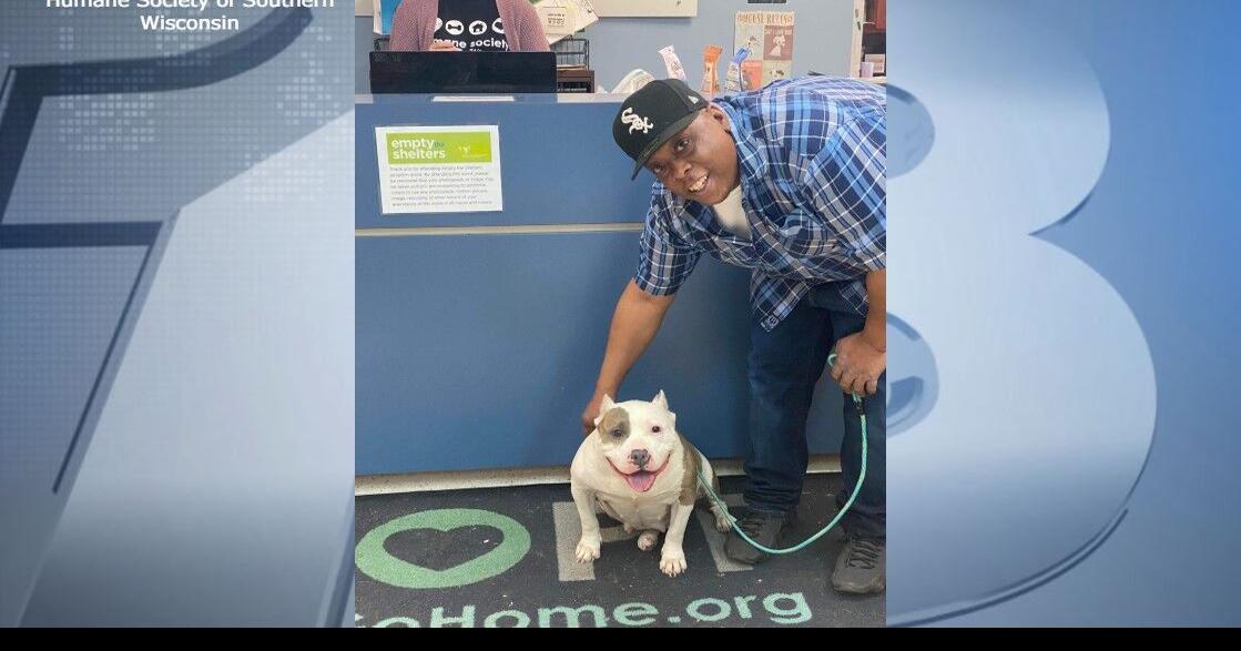 Wisconsin man reunites with dog five years after she was stolen ...