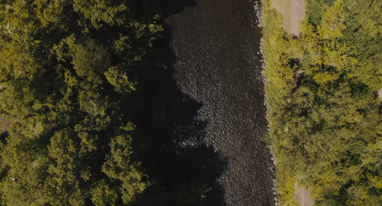 Guilty verdicts issued in Apple River stabbing case | Crime and Courts ...