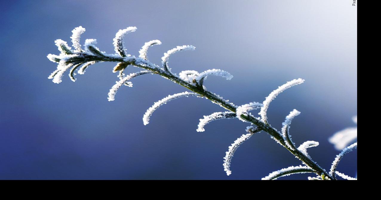 Will the first frost come early this year? | Weather & Climate News ...