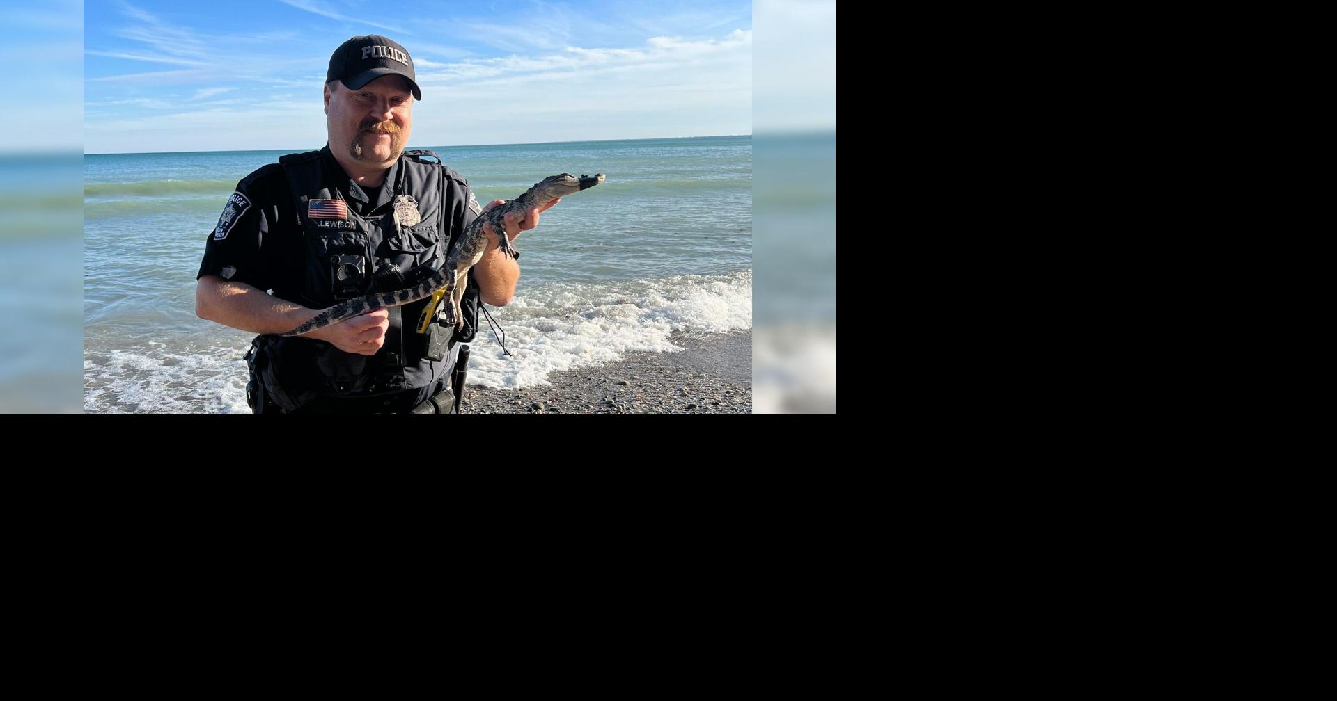 Milwaukee police catch alligator on Lake Michigan beach | Wisconsin ...