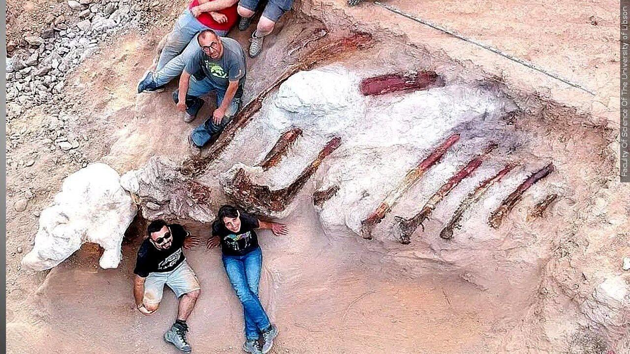 Dinosaur ribcage unearthed in 'gobsmacking' backyard discovery ...