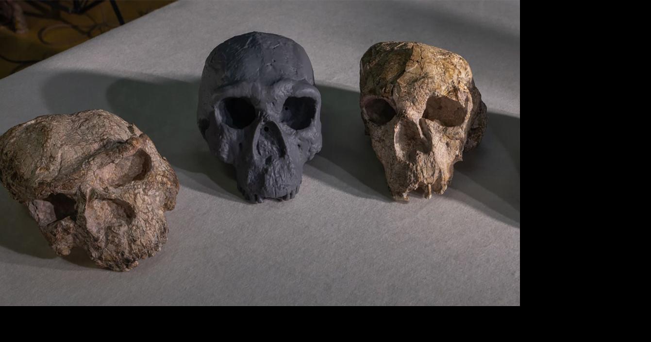 A skull unearthed in China challenges the timeline of human evolution ...