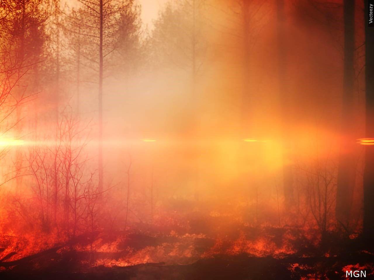 Early wildfire season sparks suspension of burning permits | Weather ...