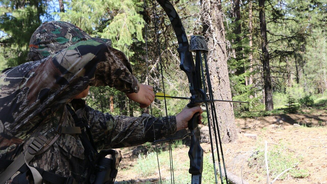 Bow And Arrow Hunting Accidents