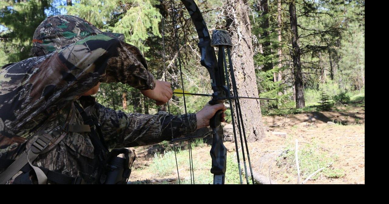 Menomonie City Council approves urban bow hunting proposal for ...