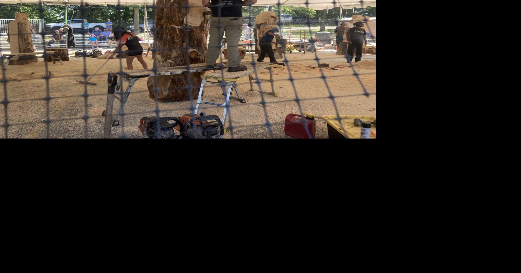 'We have a lot of the best': Wood carvers compete at annual chainsaw ...