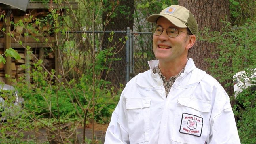 Digging Deeper: How you can help conserve the bee population for years ...