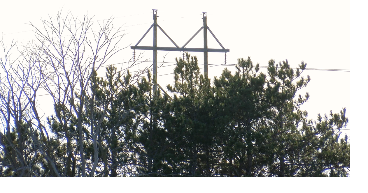 Rep. Tiffany questions Wisconsin's 100% carbon-free electricity goals ...