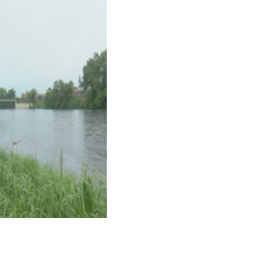 Parks flooding due to rainfall | News | wqow.com
