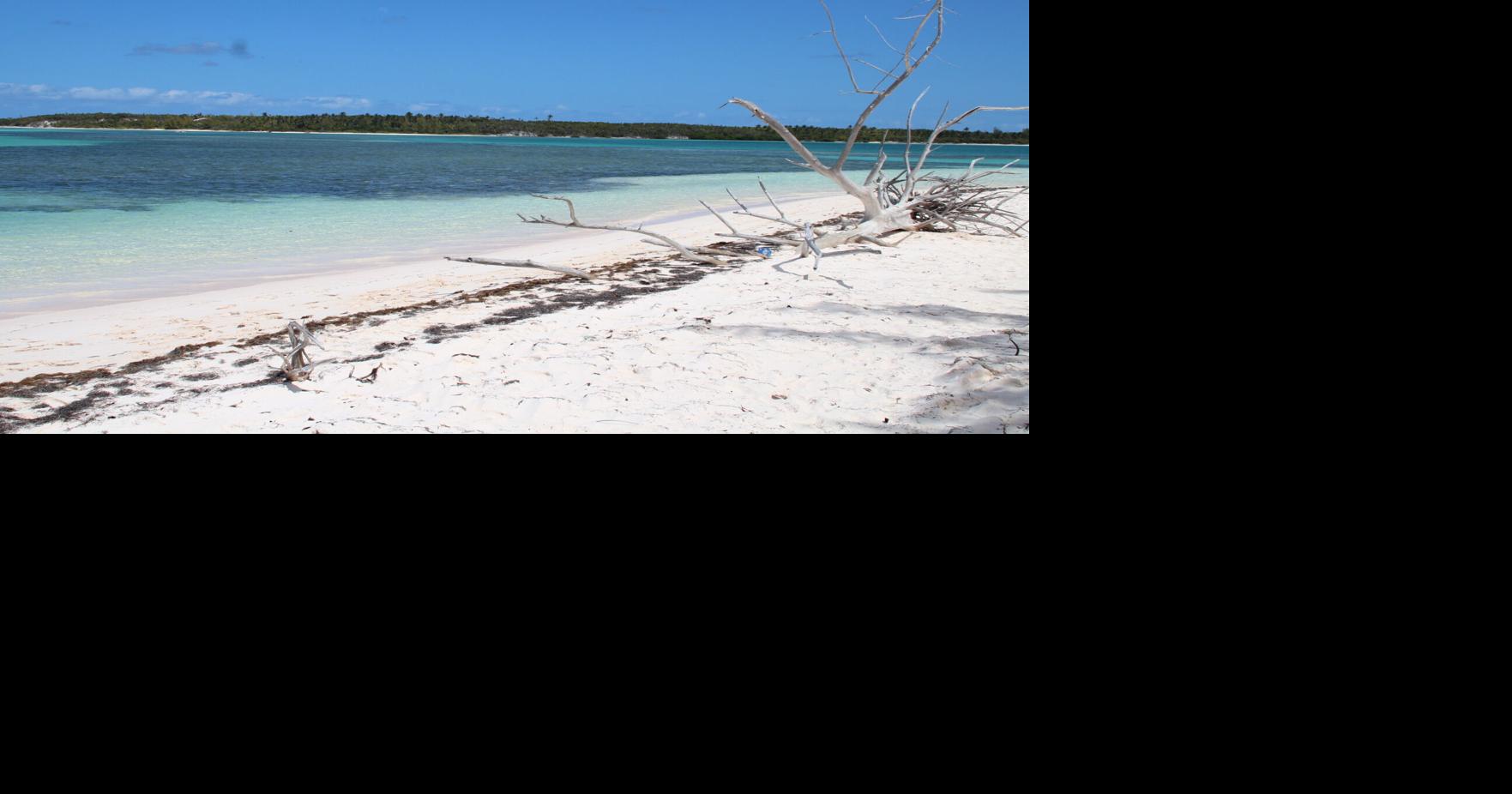 CDC adds five new destinations to 'high' risk category for travel ...