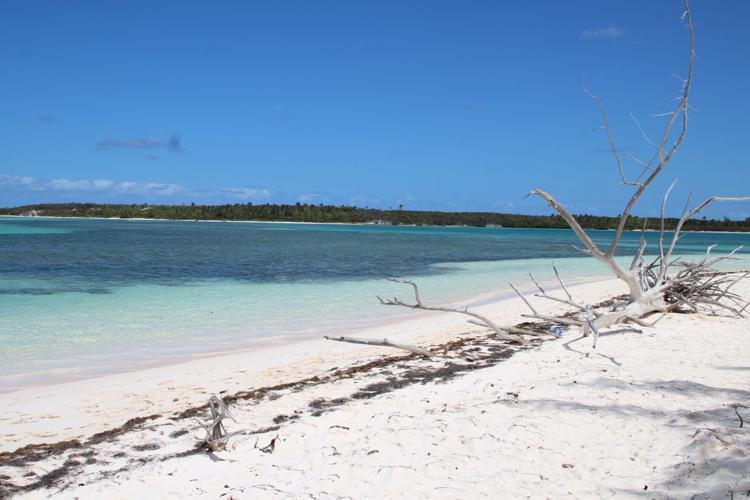 CDC adds five new destinations to 'high' risk category for travel ...