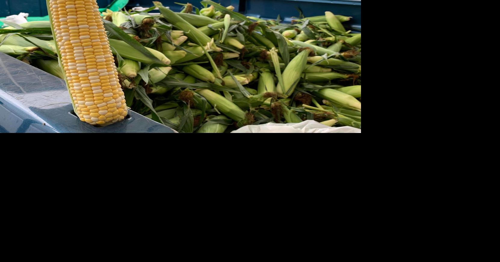Farmers market voucher program returns for senior citizens | News ...