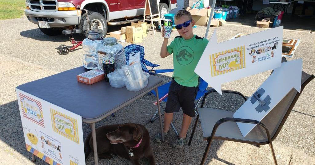 Must See Moment: Eau Claire boy uses lemonade stand to help furry ...