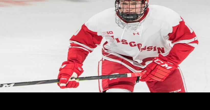 Ty Emberson turns pro, signs with Arizona Coyotes | College Sports ...