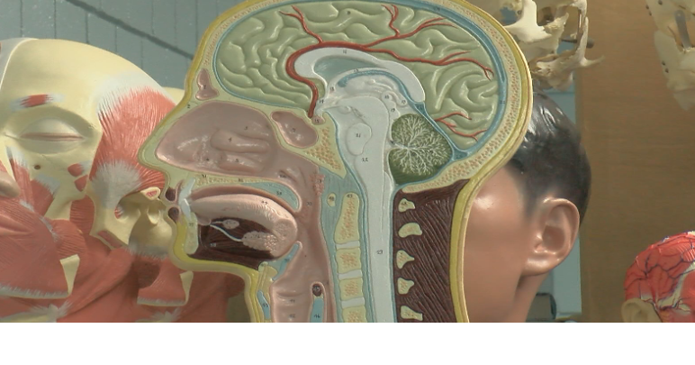 UWEC using grant to expand brain injury resources | News | wqow.com