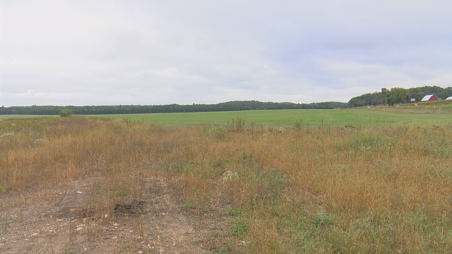 Altoona planning development of new neighborhood off Highway 12 | Chippewa Valley News | wqow.com