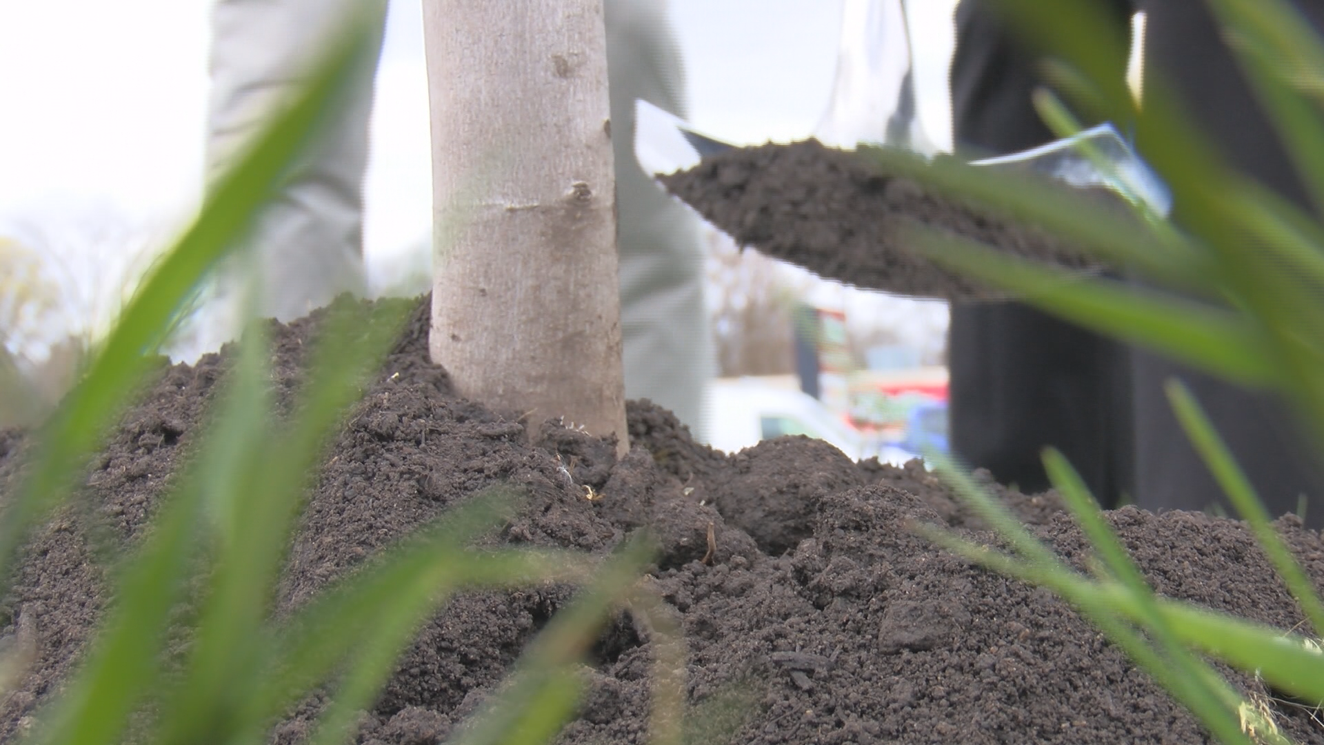 Ceremonial tree planting honors victims of ALCS shooting | News | wqow.com