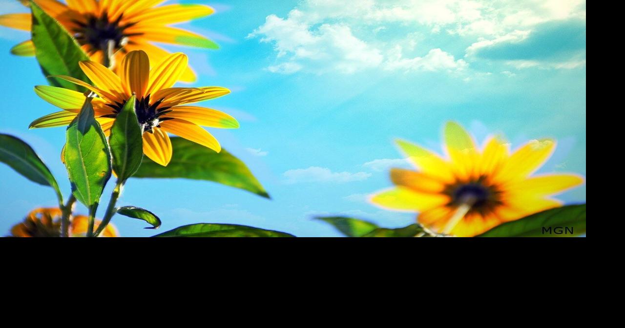 A potentially warmer spring forecasted | Weather & Climate News | wqow.com