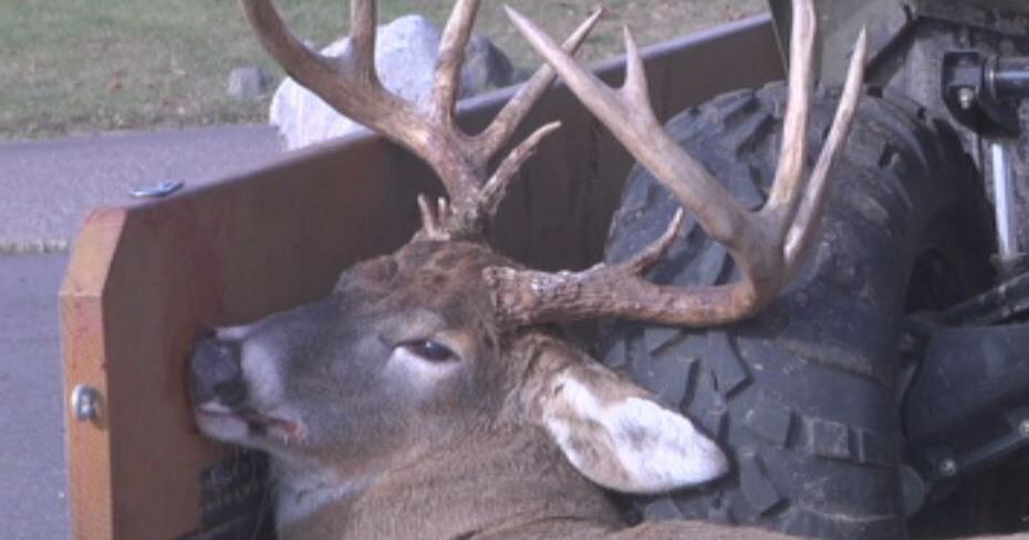 New DNR rule prohibits transporting deer carcass out of CWD-affected ...