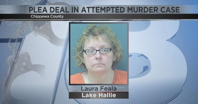 Plea deal reached in Lake Hallie attempted homicide case | Crime and ...