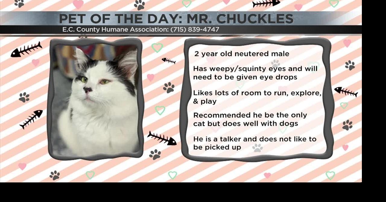 Meet Mr. Chuckles | Archive | wqow.com