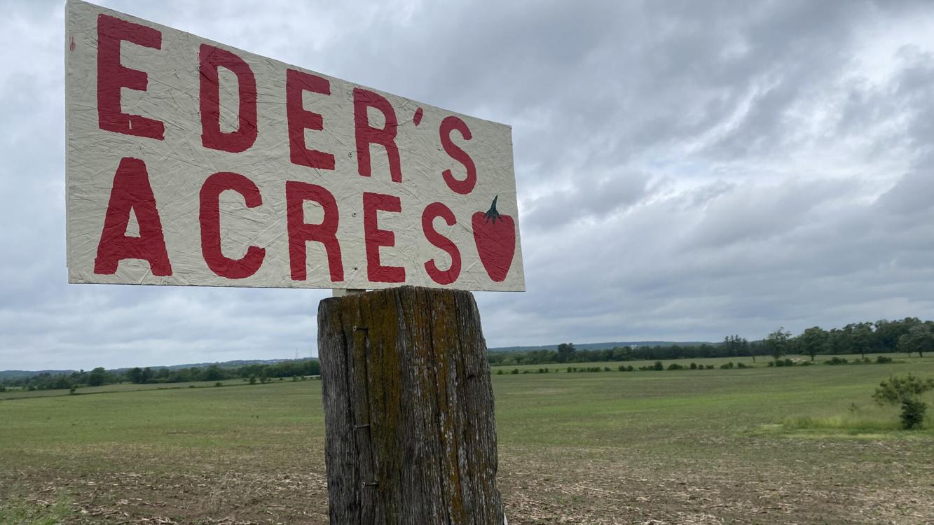 Farmers prepare for strawberry season in the Chippewa Valley ...