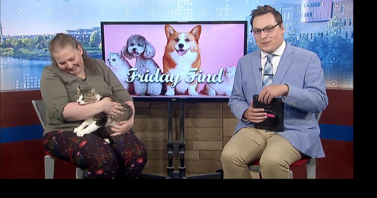 Friday Find: Corny | Wake Up Wisconsin | wqow.com