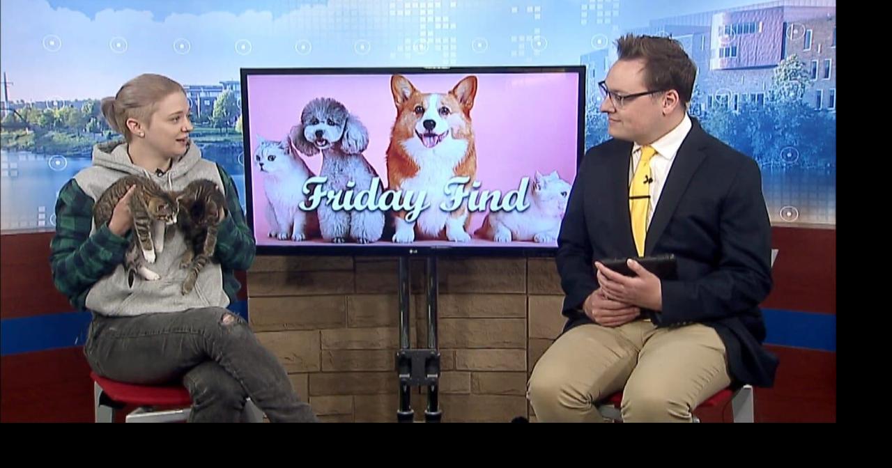 Friday Find - Dunn County Humane Society | Wake Up Wisconsin | wqow.com