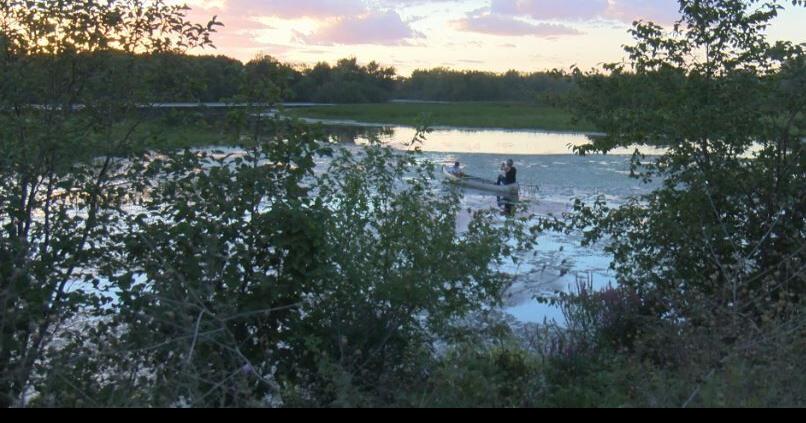 Wild rice being harvested in Wausau | Top Stories | wqow.com