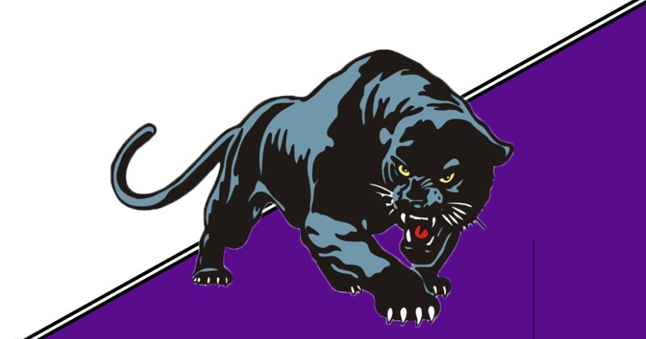 Durand-Arkansaw boys basketball hold high hopes for playoff seed ...