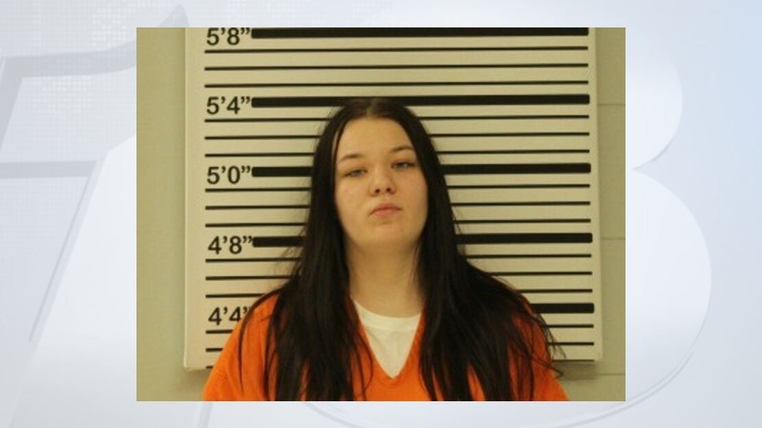 Teenager charged after fatal Dunn County hit-and-run pleads guilty to 3 ...
