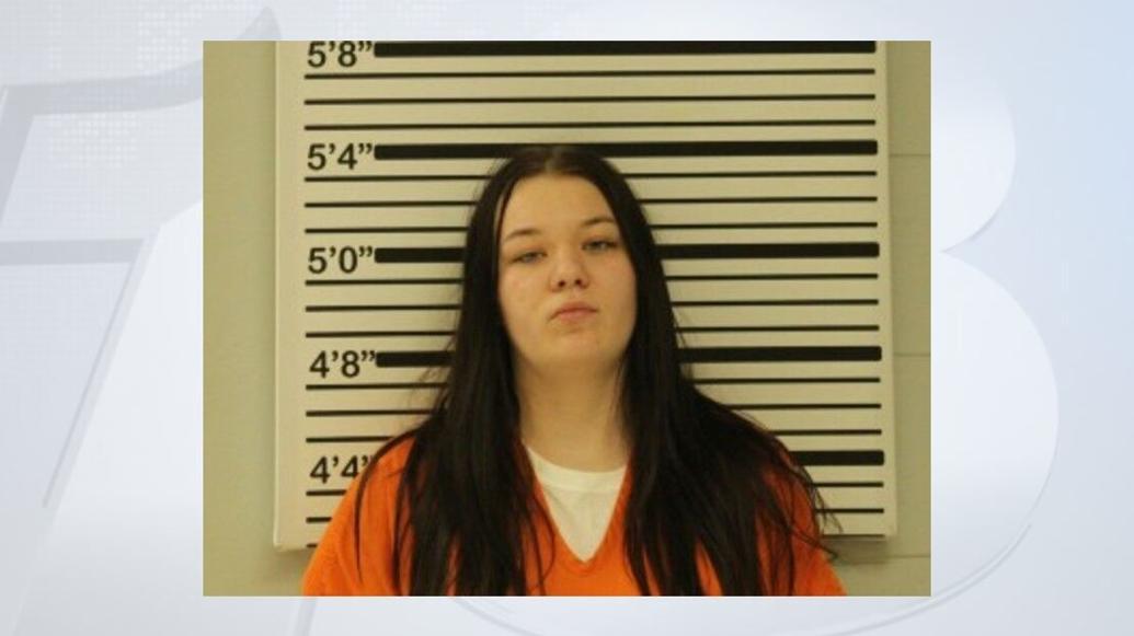 Teenager charged after fatal Dunn County hit-and-run pleads guilty to 3 ...