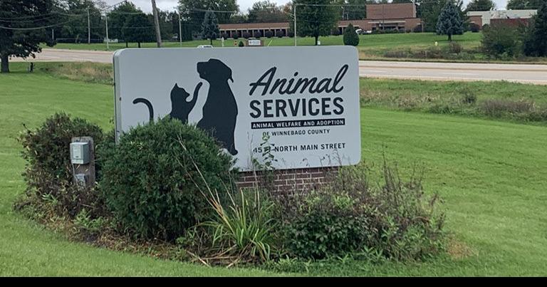 Winnebago County Animal Services hosts reduced-fee adoption event | Top ...