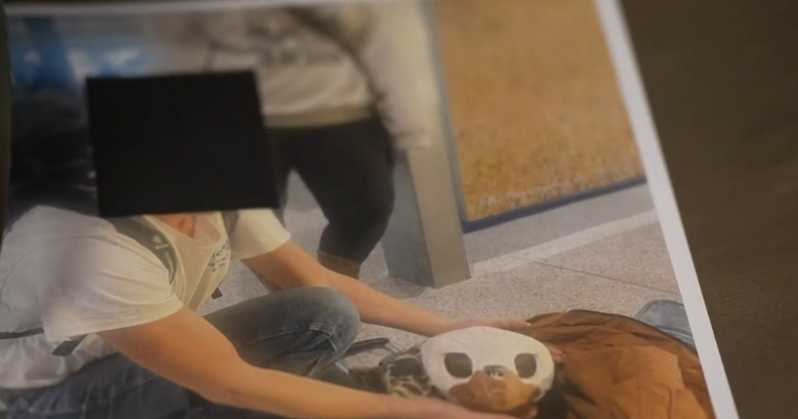 California couple expose smuggled turtle skull and more crimes to ...