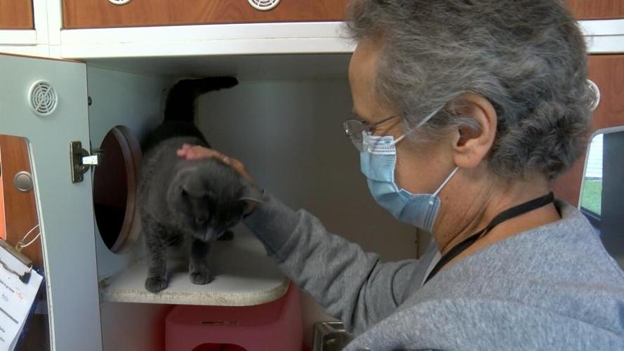 WCAS adoption coordinator retires after 26 years of finding pets new ...