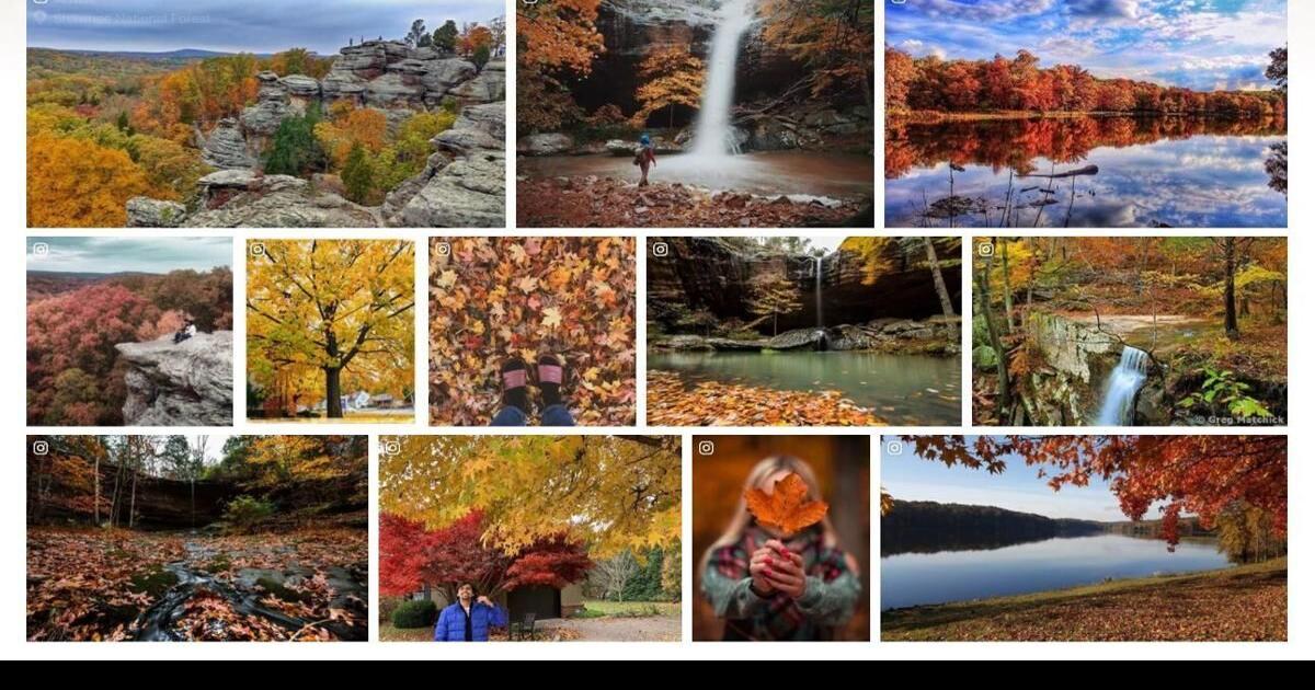 Want to see the fall colors? Illinois highlights road trip plans to see ...