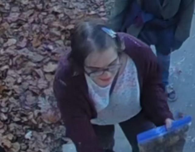 ‘Slender Man’ stabber back in custody. What we know about her ...