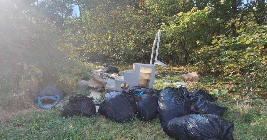 Freeport residents frustrated by persistent illegal dumping | News ...