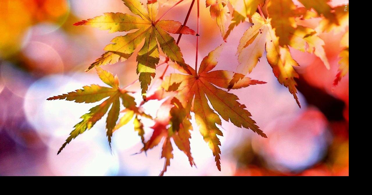 Illinois Office of Tourism features online Fall Colors Trip Planner ...