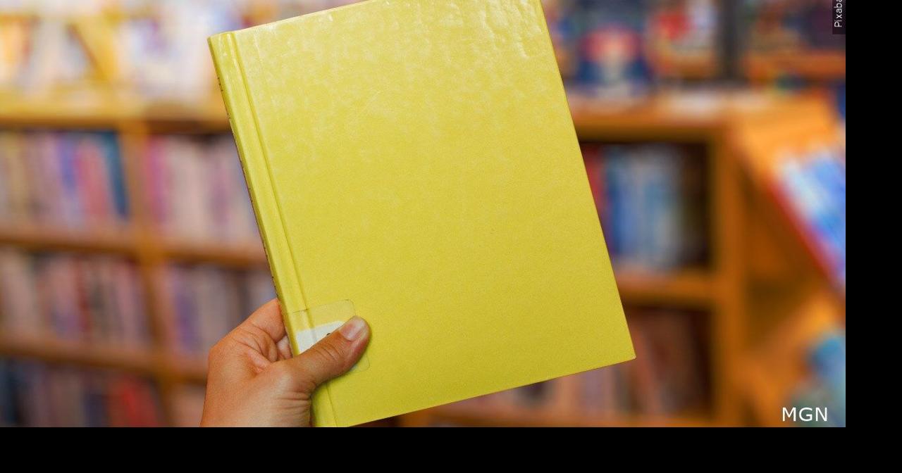 Ida Public Library anticipates protests following Rockton controversy ...