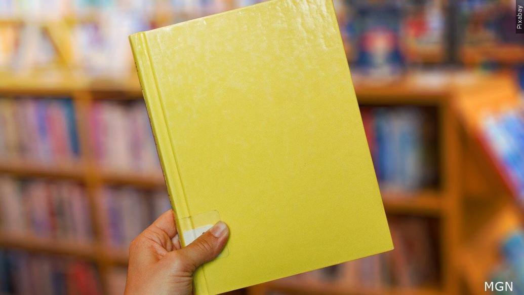 Ida Public Library anticipates protests following Rockton controversy ...