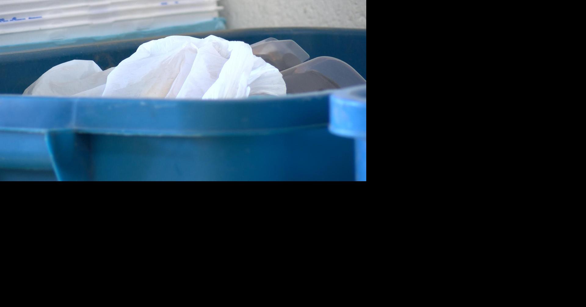 Carryout Bag Fee Act could make shoppers pay for plastic bags | News ...