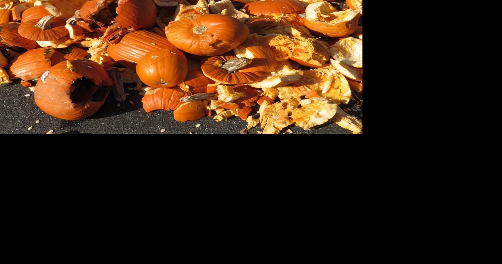 Smashing Pumpkins event returns to Discovery Center Museum Nov. 3 ...