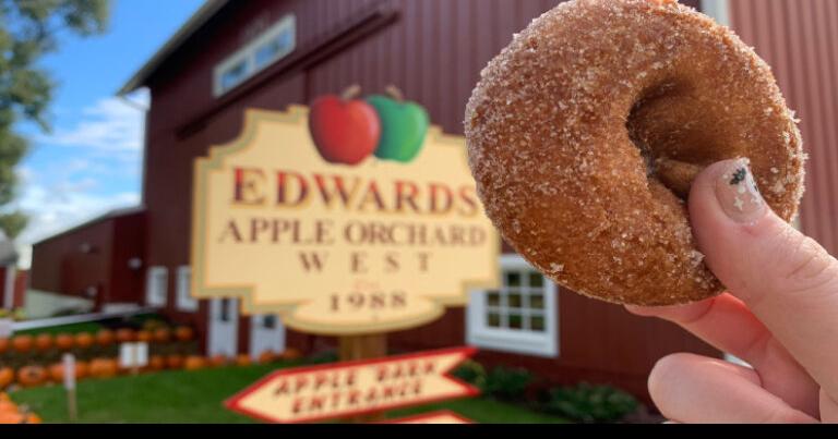 Families flock to Edwards Apple Orchard West to celebrate fall ...