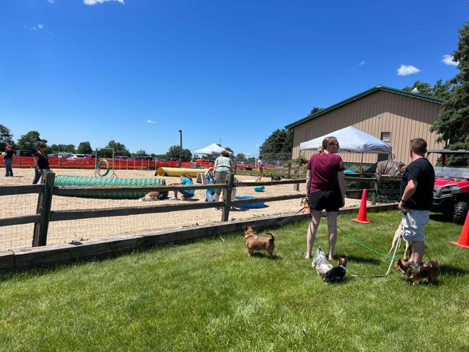 Meyer S Tails Up Farm