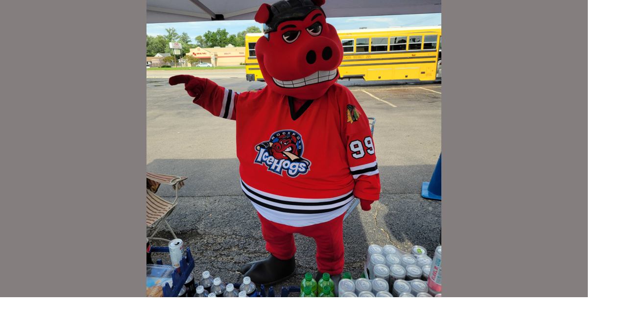 Hammy the Hog to visit Polar Playground at the Discovery Center Museum ...