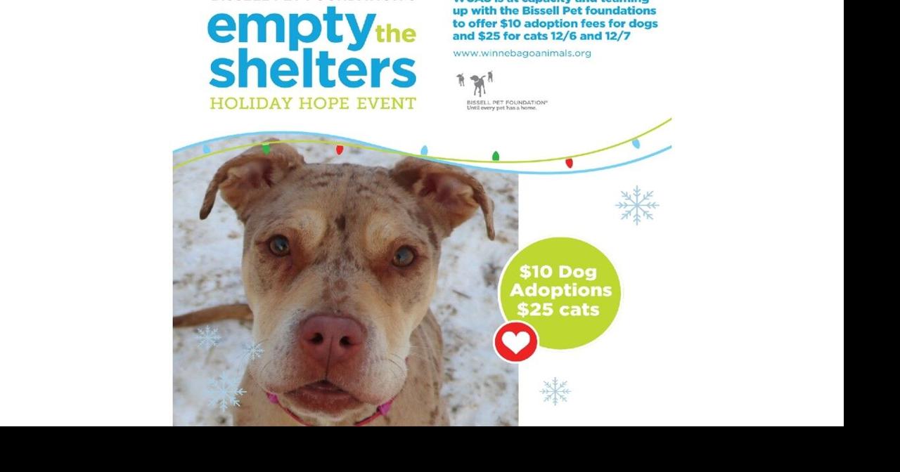 Winnebago County Animal Services hosts 'Empty the Shelters - Holiday ...