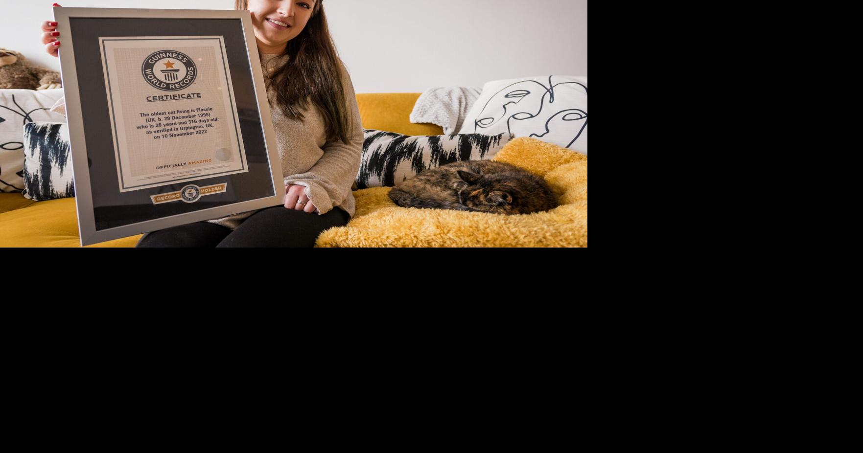 Flossie, the world's oldest living cat, is nearly 27 years old | News ...